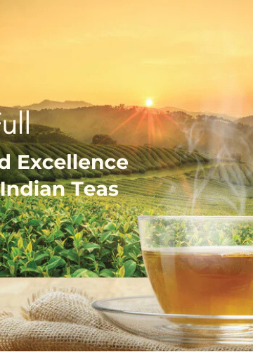 The Magazine Asia - News & Insights Across Asia