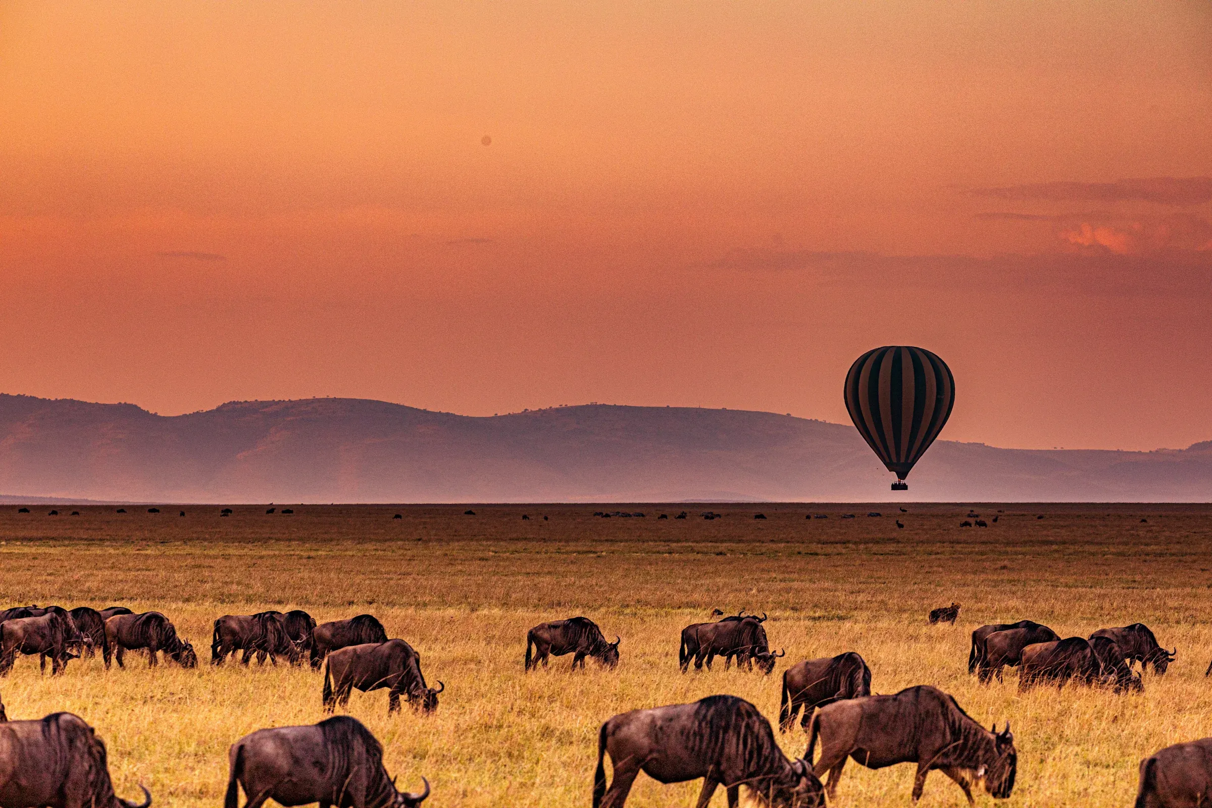 20+ Awesome Things to Do in Kenya for an Unforgettable Trip - The ...